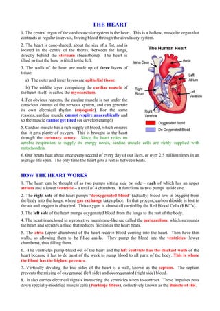 Ch 6 the circulatory system | PDF