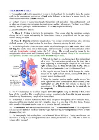 Ch 6 the circulatory system | PDF