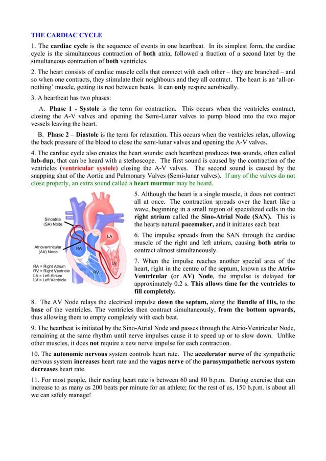 Ch 6 the circulatory system | PDF