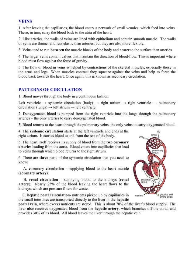 Ch 6 the circulatory system | PDF