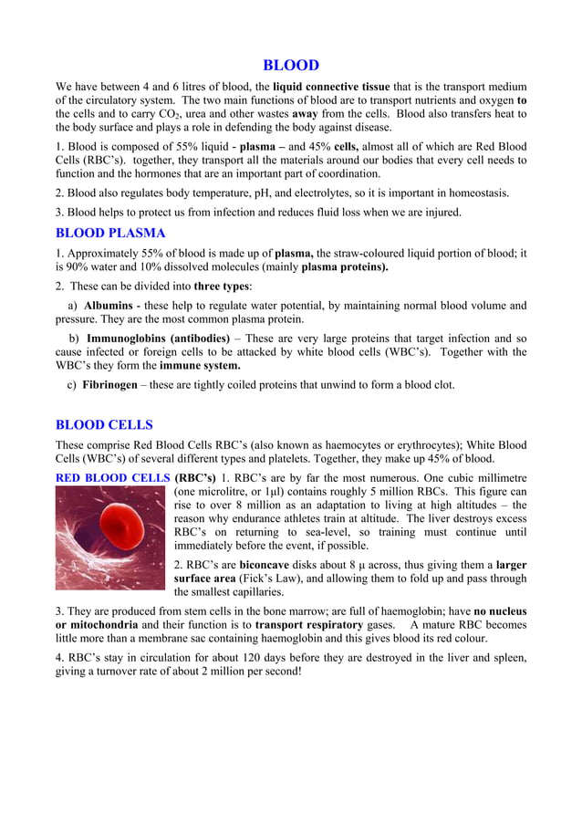 Ch 6 the circulatory system | PDF