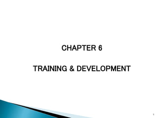 Human Resource Management: Training & Development | PPT