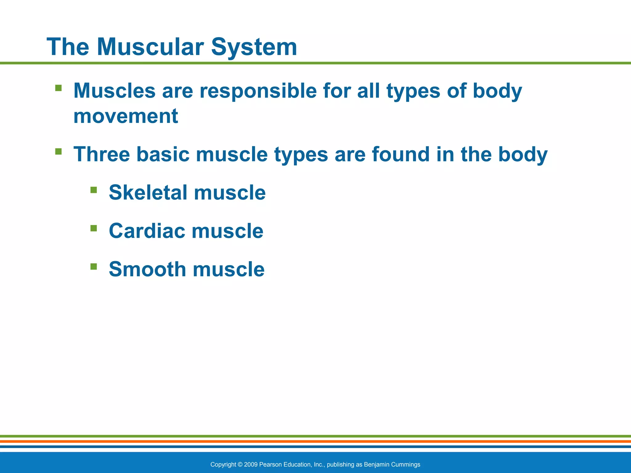 CVA A&P - Chapter 6a: Muscle Types and Tissue | PPT