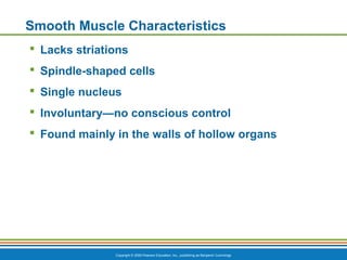 CVA A&P - Chapter 6a: Muscle Types and Tissue | PPT