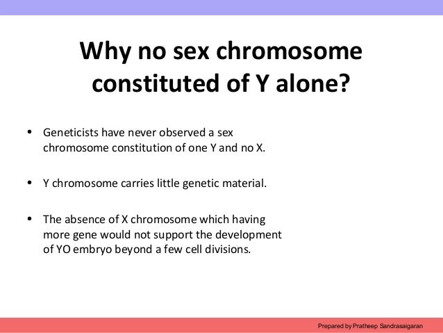 Xxyy Chromosome