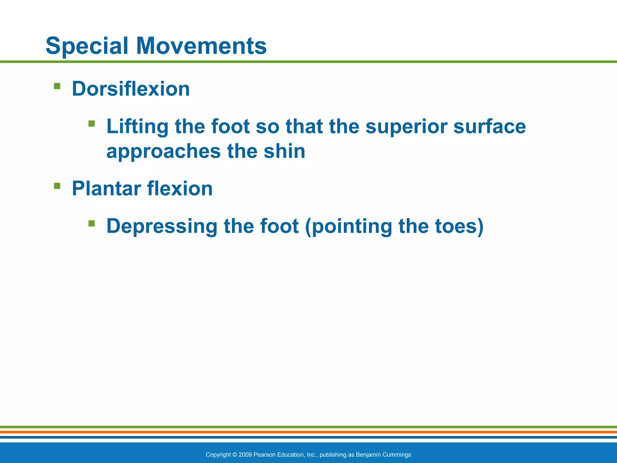 CVA A&P - Chapter 6c: Muscle Movements and Major Muscles | PPT | Death ...