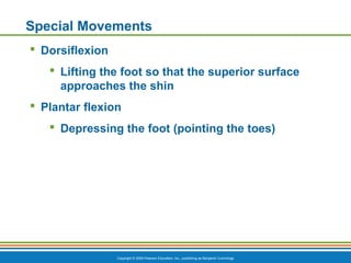 CVA A&P - Chapter 6c: Muscle Movements and Major Muscles | PPT