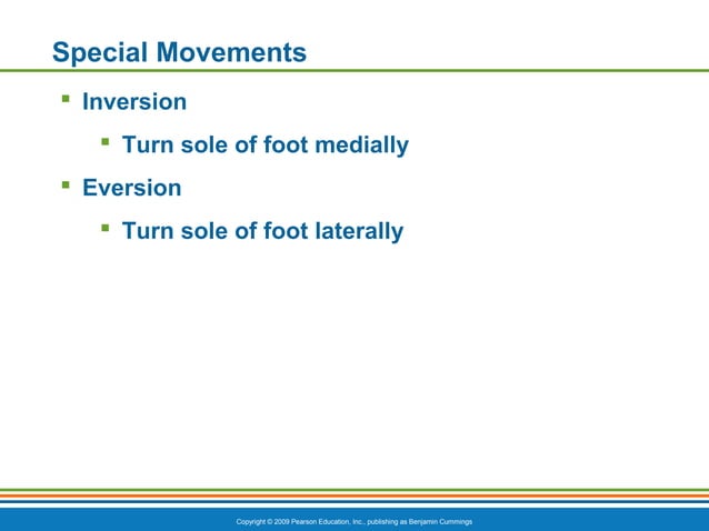 CVA A&P - Chapter 6c: Muscle Movements and Major Muscles | PPT