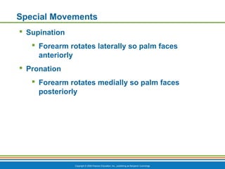CVA A&P - Chapter 6c: Muscle Movements and Major Muscles | PPT