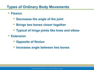 CVA A&P - Chapter 6c: Muscle Movements and Major Muscles | PPT