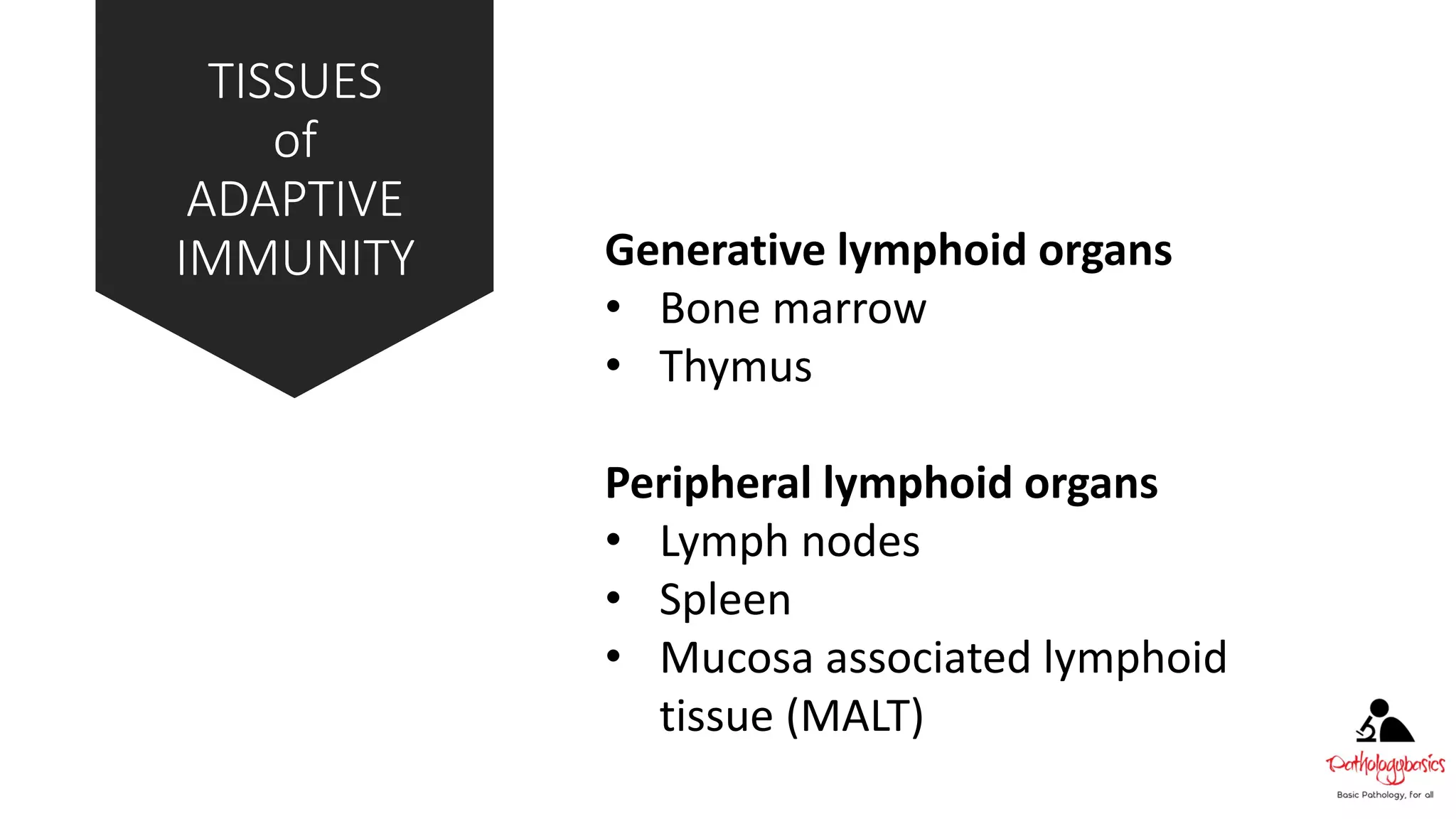 Ch 6 diseases of the immune system part 1 | PPTX