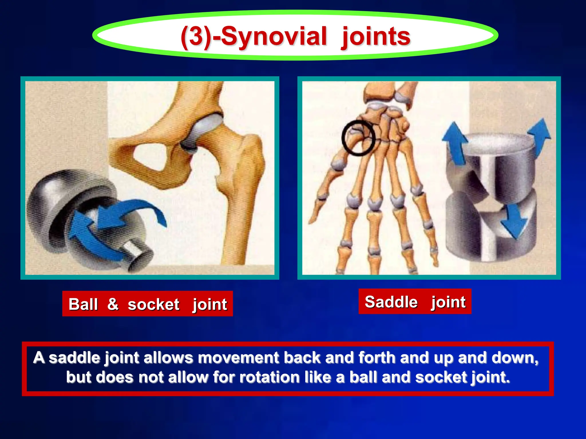 ch 6 Joints.ppt | Free Download