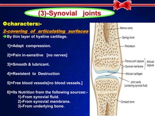 ch 6 Joints.ppt