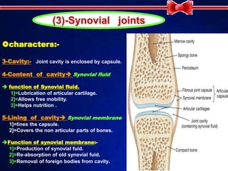 ch 6 Joints.ppt