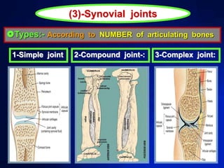 ch 6 Joints.ppt