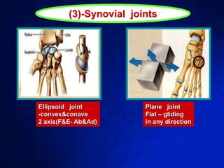 ch 6 Joints.ppt