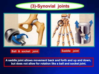 ch 6 Joints.ppt