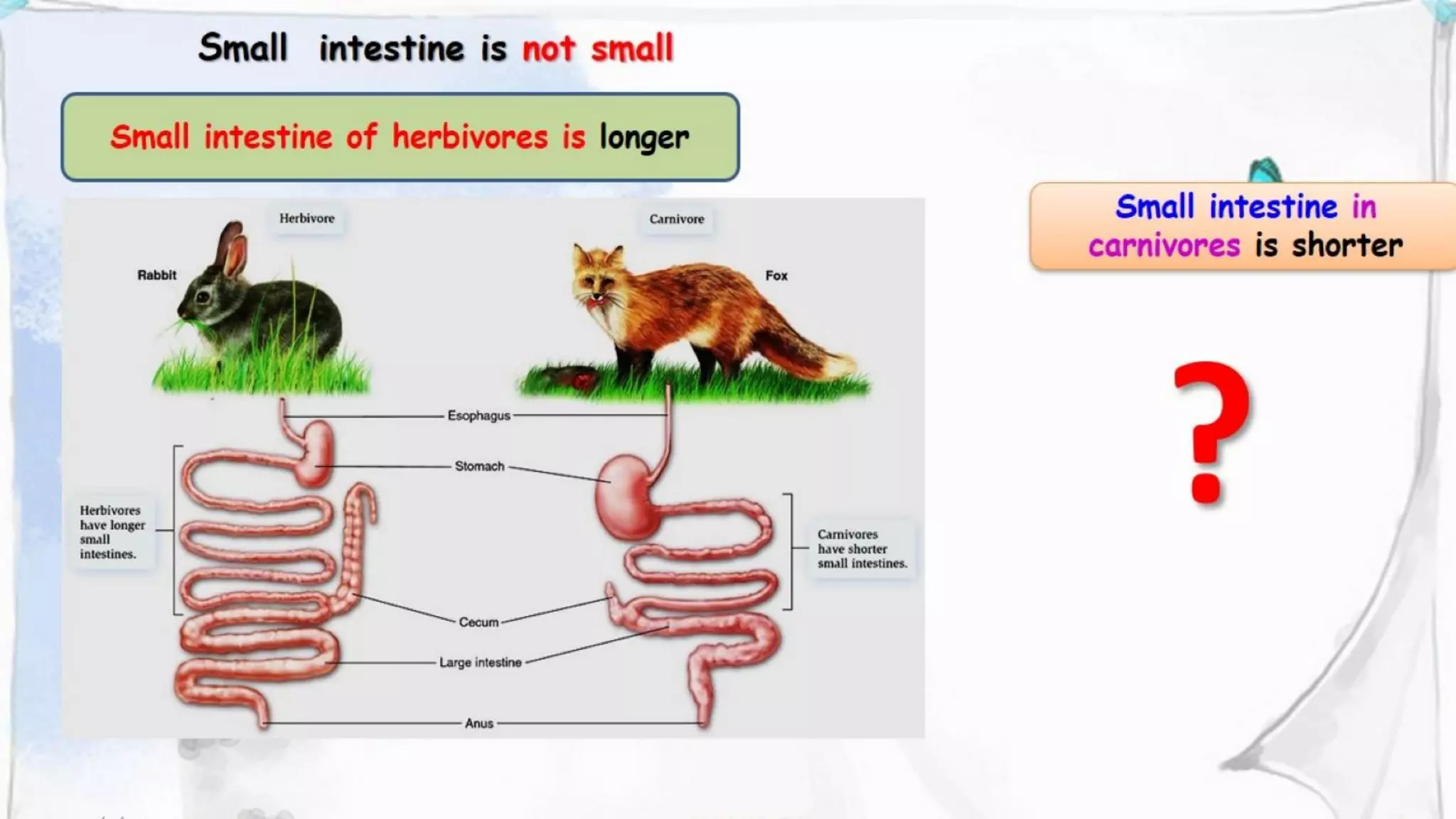 Ch 6 life processes | PPT