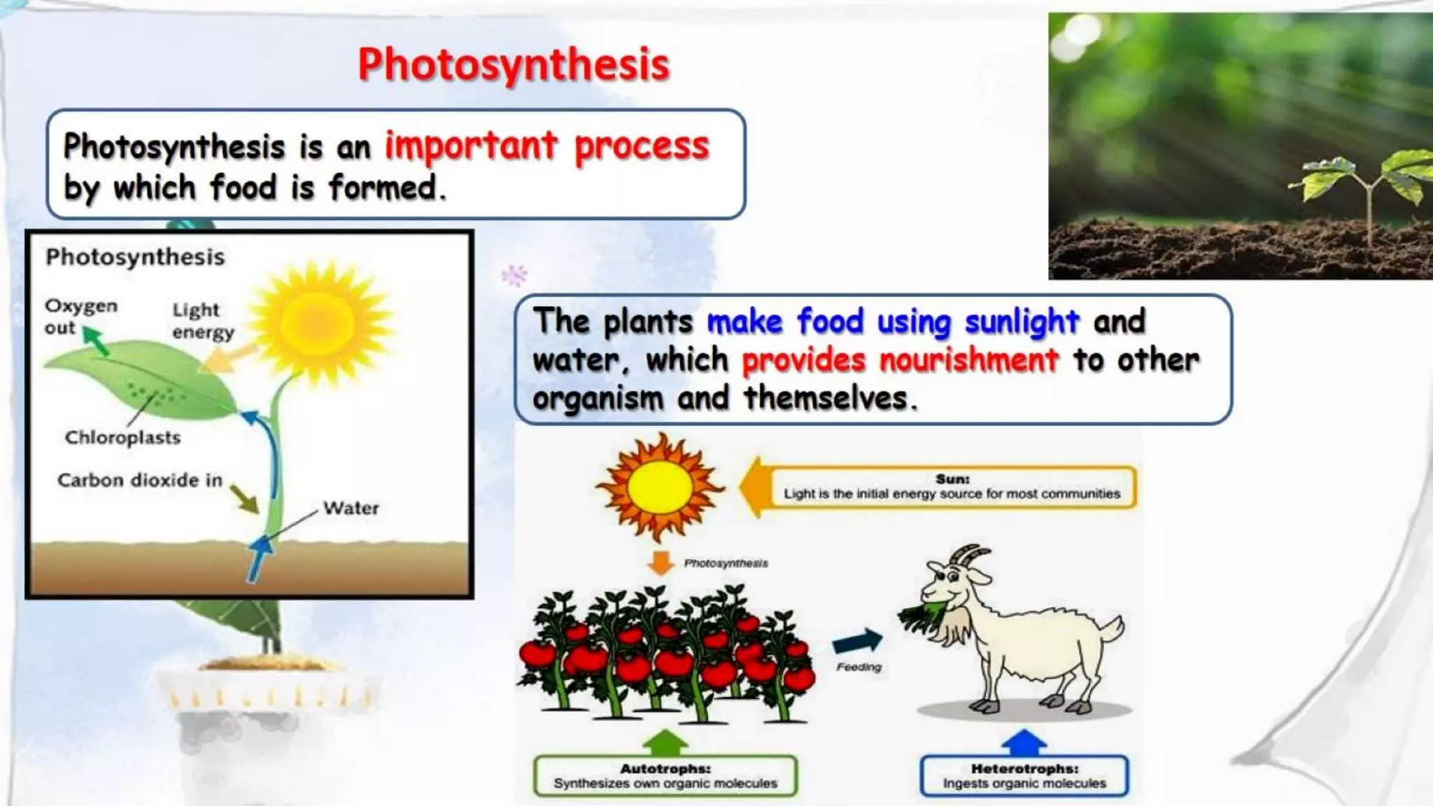 Ch 6 life processes | PPT