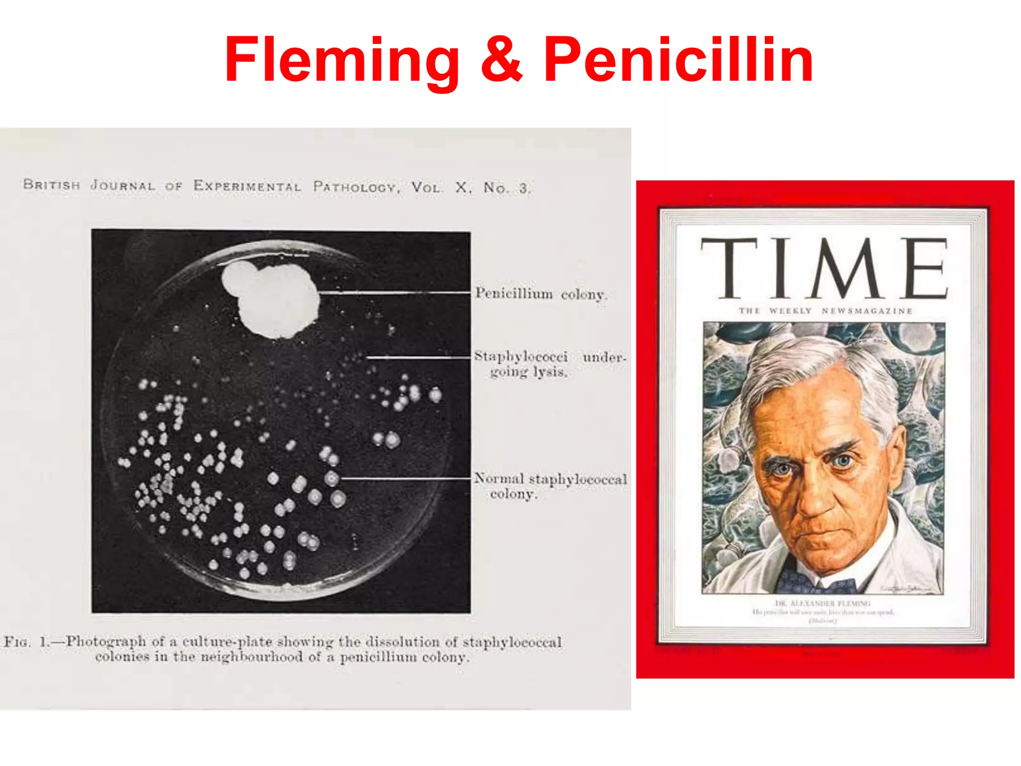 CH6 Microbial .pptx | Free Download