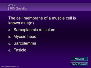 Ch 6 Muscle Jeopardy Review Game | PPTX