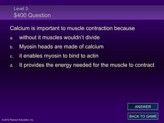 Ch 6 Muscle Jeopardy Review Game | PPTX