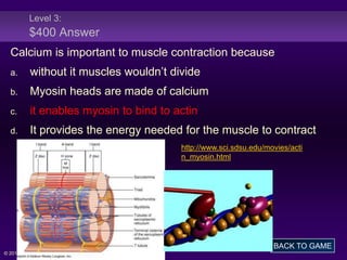 Ch 6 Muscle Jeopardy Review Game | PPTX