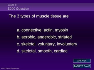 Ch 6 Muscle Jeopardy Review Game | PPTX