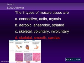 Ch 6 Muscle Jeopardy Review Game | PPTX