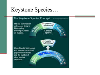 Ch 6 Population and Community Ecology.ppt