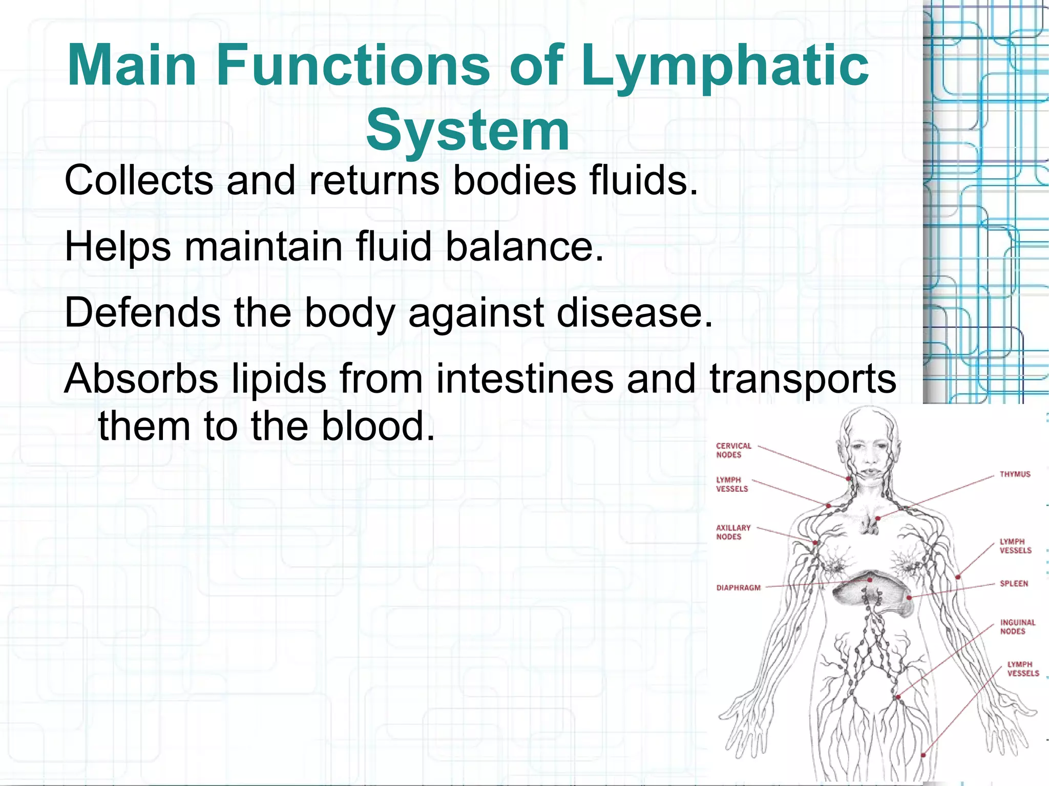 Ch 6 presentation | PPT
