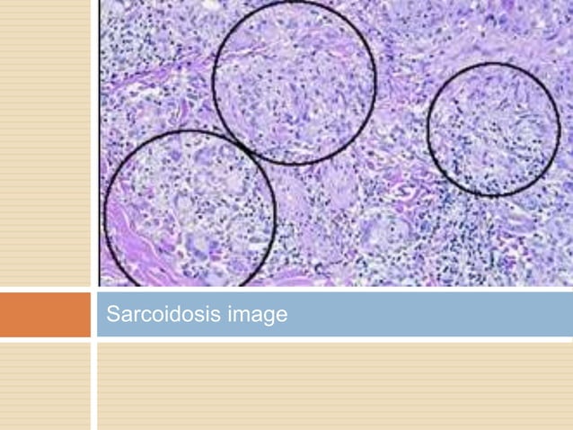 Ch 6 presentation 6 h | PPT