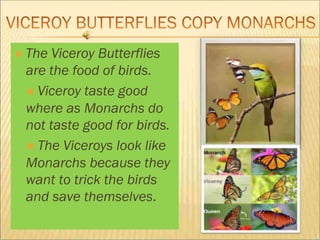 ch6themakingofascientist1compressssed.ppt