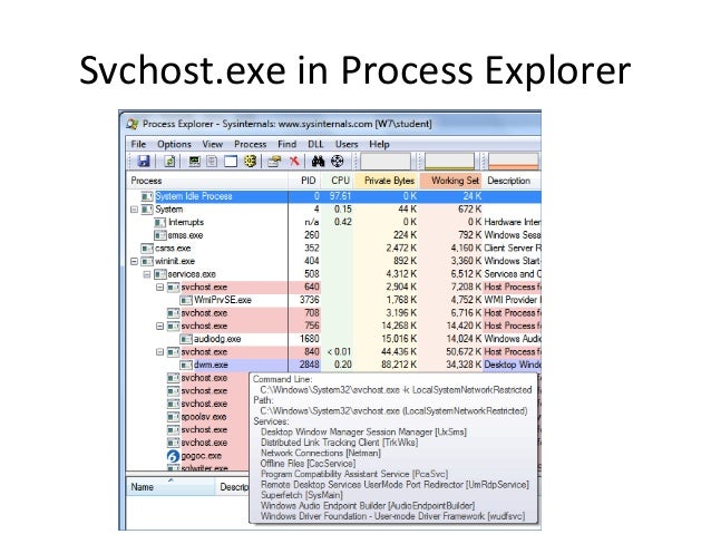 Practical Malware Analysis Ch 7 Analyzing Malicious Windows Program…