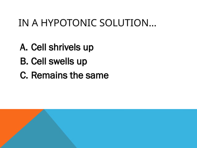 Chapter 73 Cell Transport Powerpoint Presentation Ppt