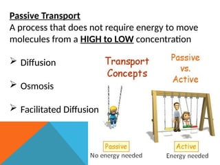 Chapter 7.3 Cell Transport powerpoint presentation | PPT