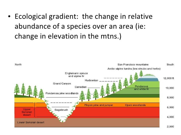 Ch 7 8 ppt 2010 student notes