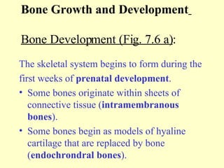 225 Bone Formation And Development