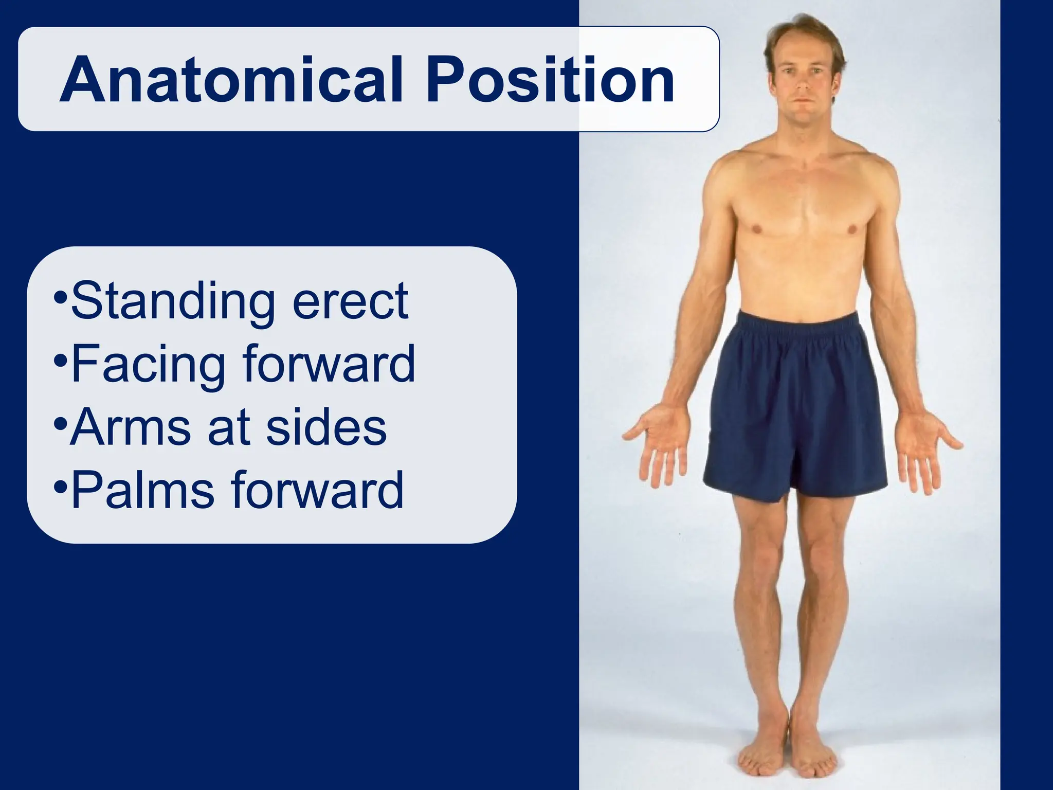 Ch 7 Anatomy, Physiology, & Med Terminology.ppt