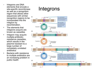 Ch7BacterialGenetics.ppt