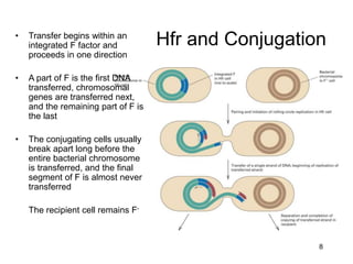 Ch7BacterialGenetics.ppt