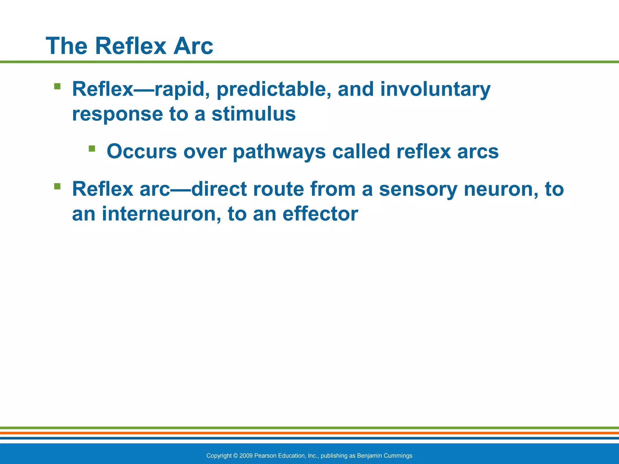 Ch7bppt nerve impulses and reflexes | PPT