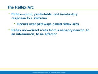 Ch7bppt nerve impulses and reflexes | PPT