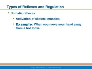 Ch7bppt nerve impulses and reflexes | PPT