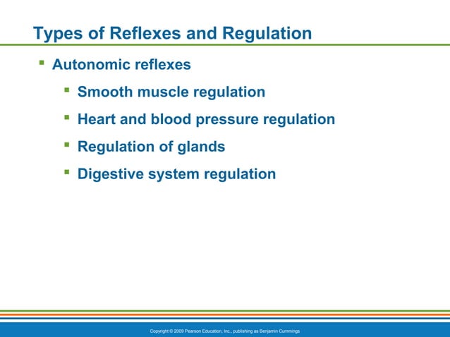 Ch7bppt nerve impulses and reflexes | PPT