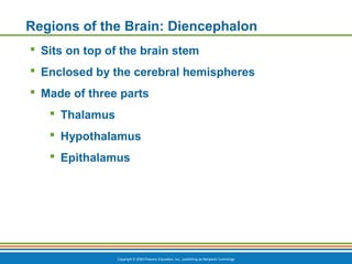 Ch7cppt brain | PPT