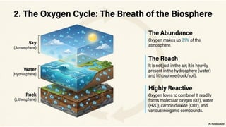 Ch 7. Energy Flow in Ecosystem| Science| Class 9| Maharashtra State ...
