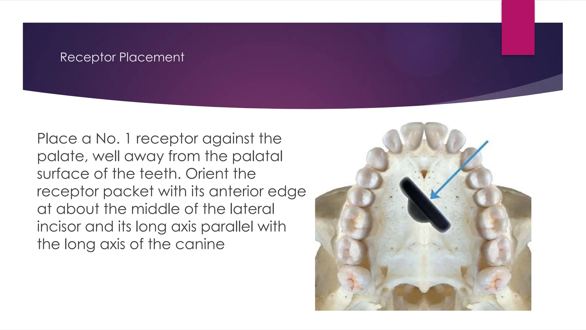 Oral Radiology White and Pharoah Ch 7 Intraoral.pptx