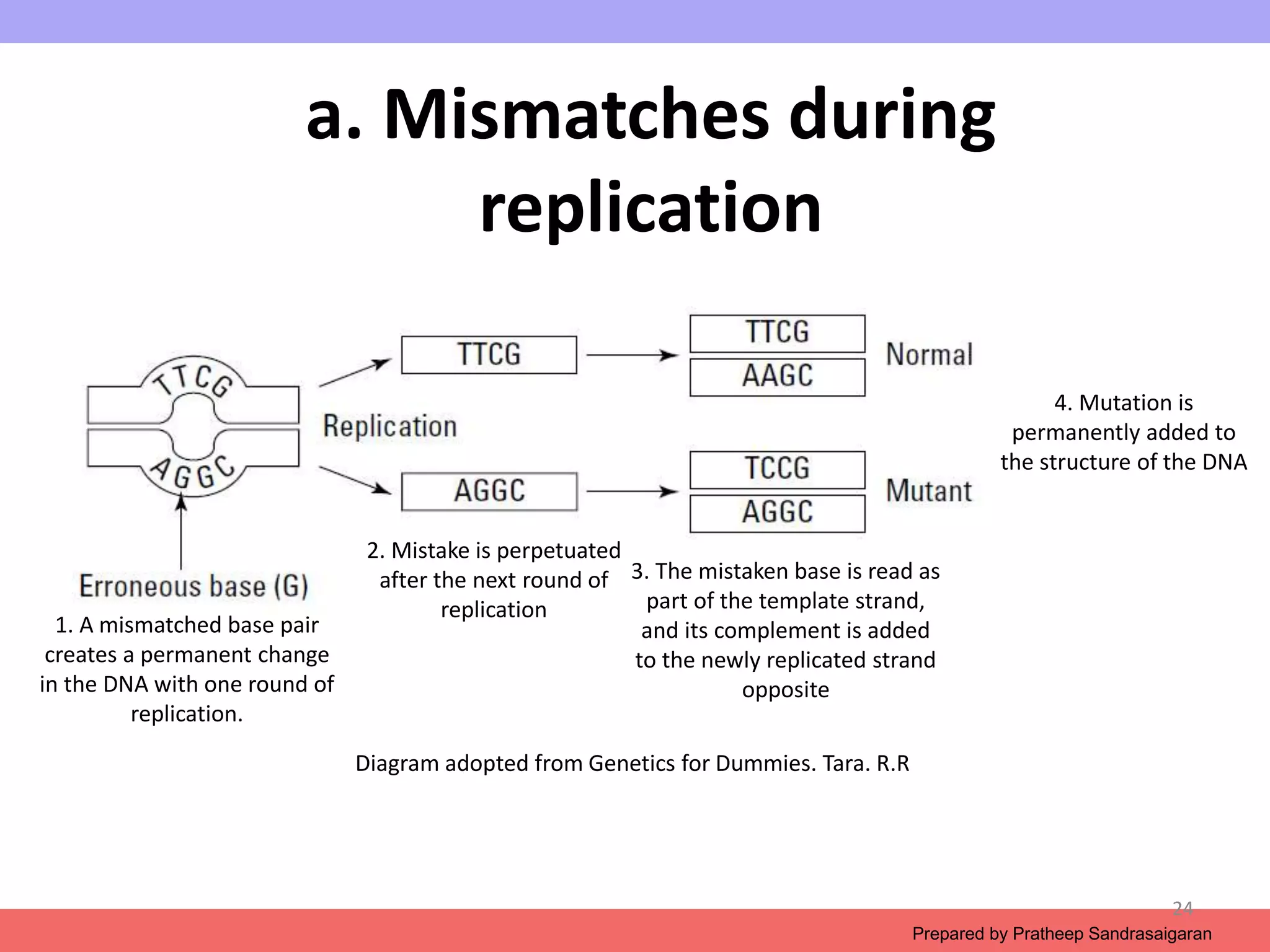 Ch7_Mutation- types and its effects.ppt
