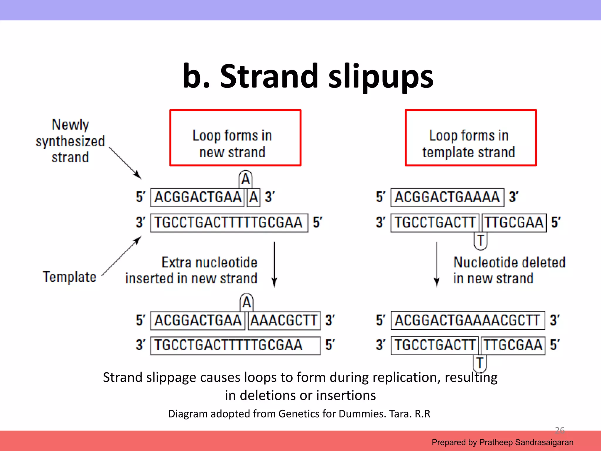 Ch7_Mutation- types and its effects.ppt
